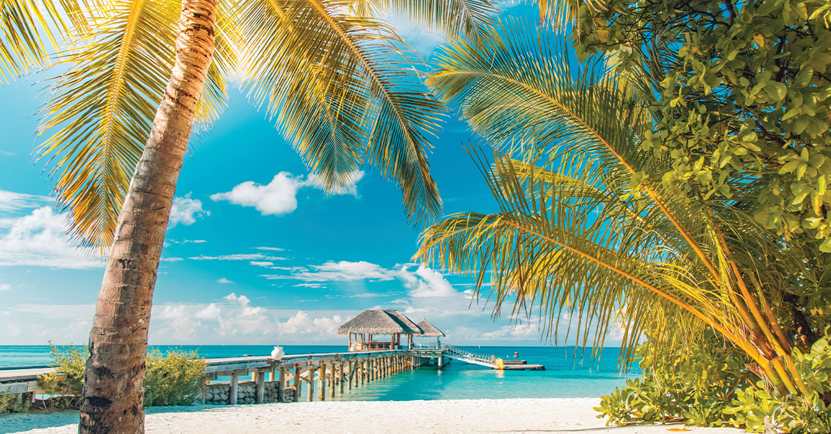 ERISA DOL Auditor Independence Rule Plan Sponsor ERISA